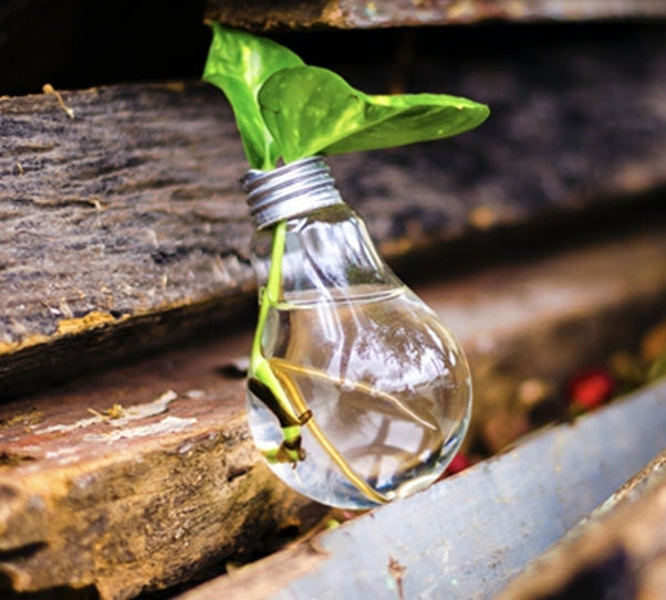 Light Bulb Base Sizes Chart, an Easy Guide – YEELIGHT